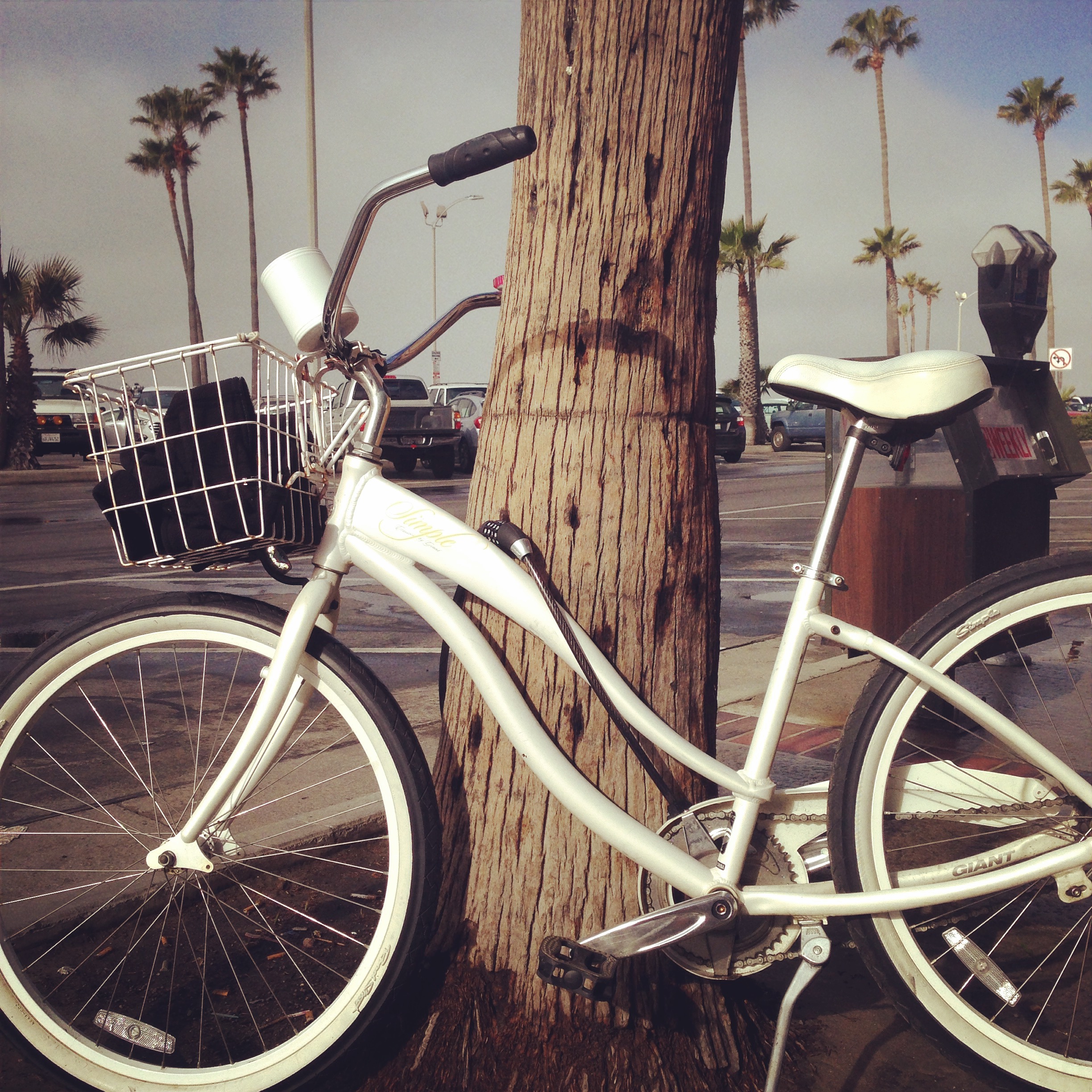 Hire – Angela Angelovic