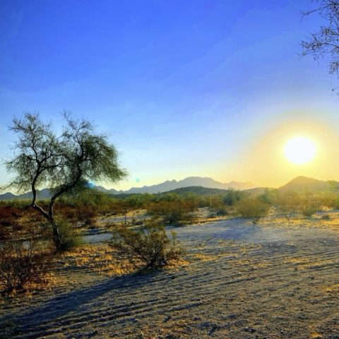 Van Life Wannabe 33 | What Van Life Feels Like For a Girl – Angela ...