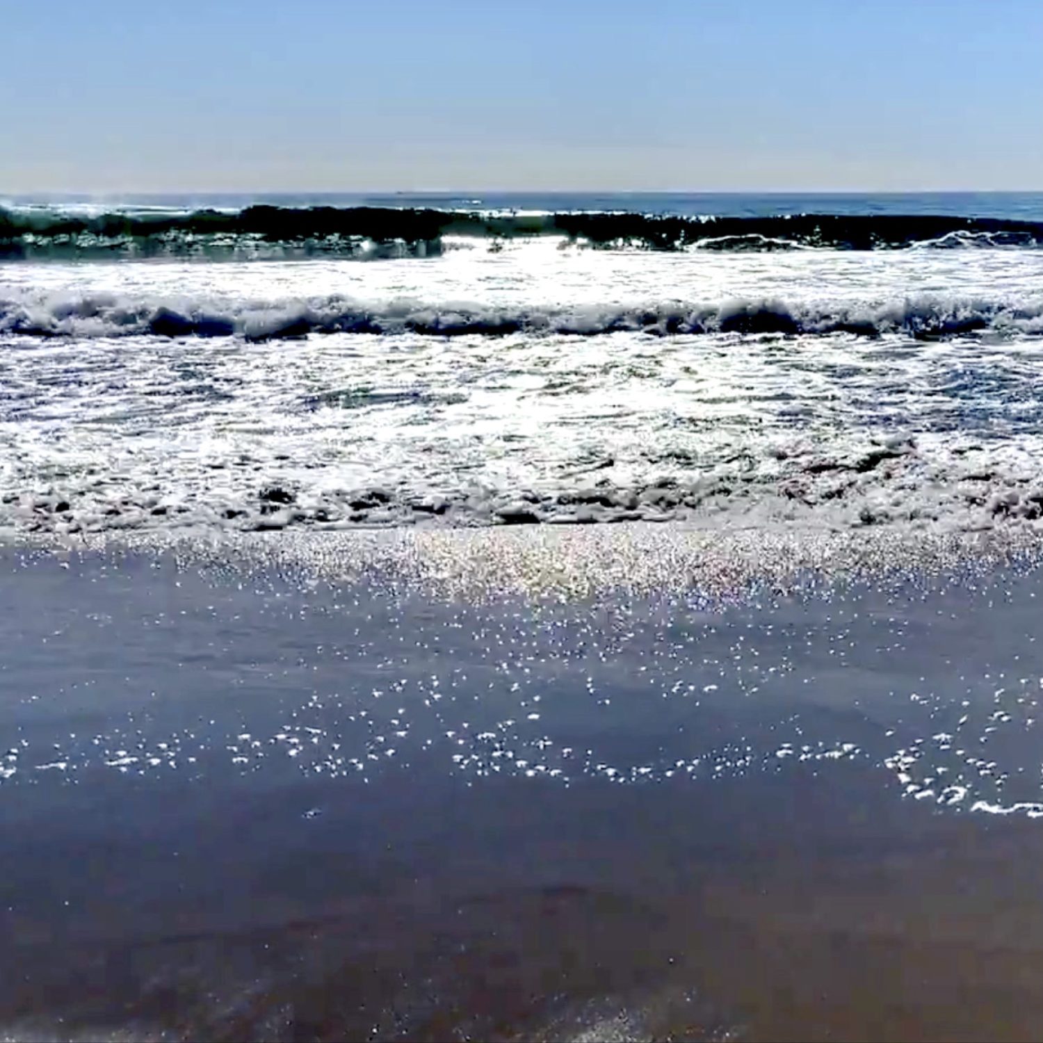 Van Life Wannabe 37 | Feet in the Pacific Again – Angela Angelovic